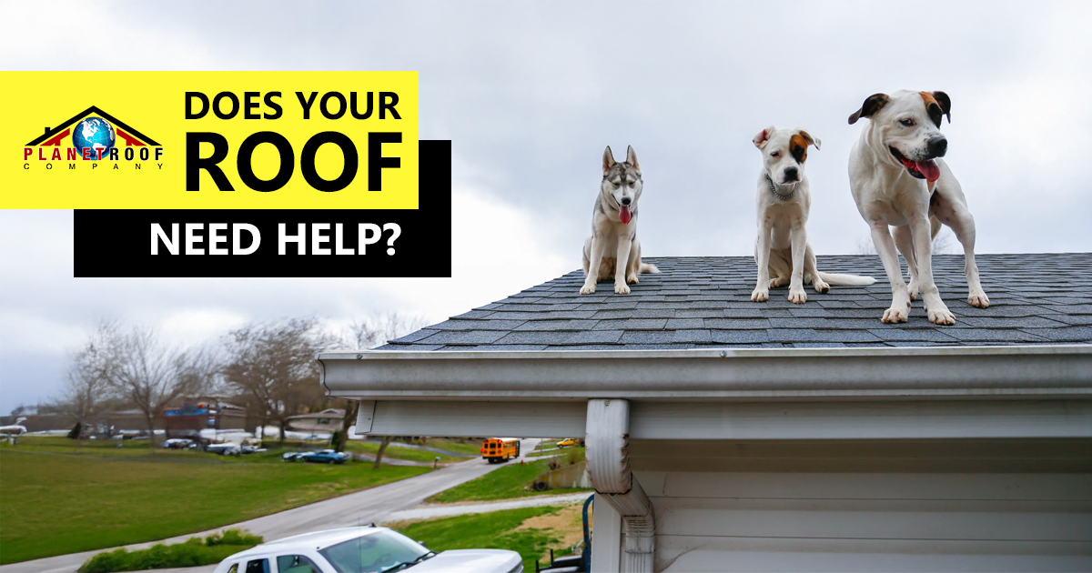 Planet Roof Company | Roof Services | Houston Roofing Company